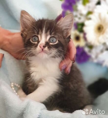 Малыш ждет маму