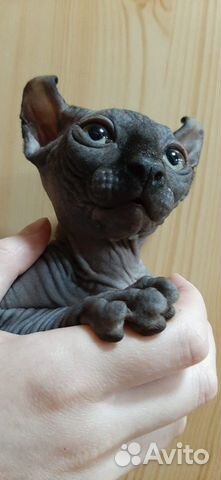 Идеальная Эльфейка