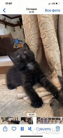 Девочка 1 мес