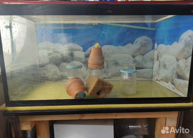 Аквариум