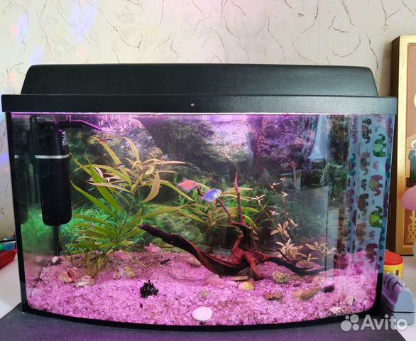 Аквариум панорамный 65л полный комплект