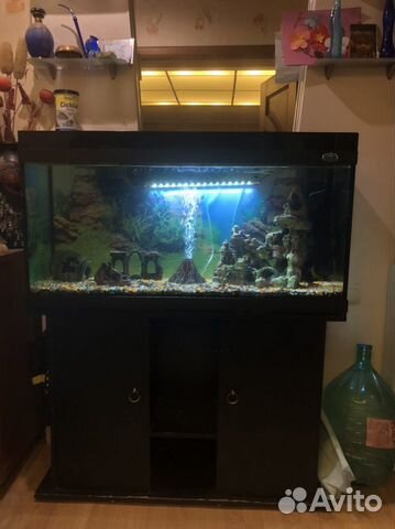 Аквариум с тумбой 200 литров