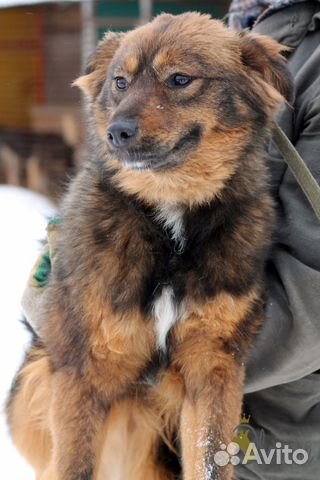 Дайна море положительных эмоций