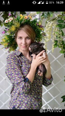 Минипиг,вьетнамские поросята