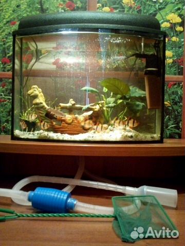 Аквариум