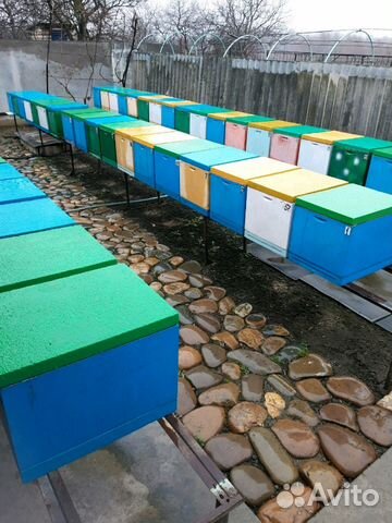 Пчелы и ульи