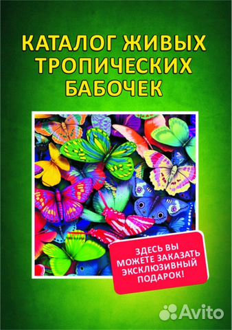 Живые тропические бабочки