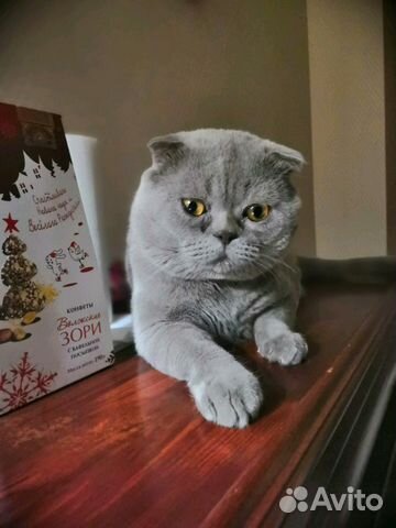 Вязка