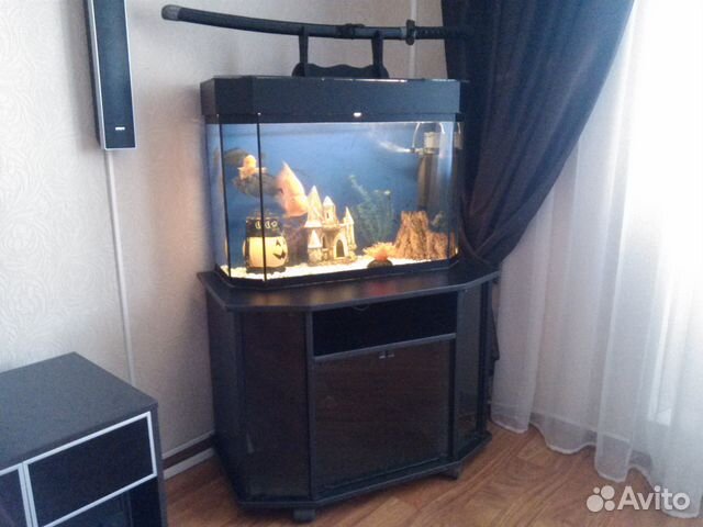 Аквариум