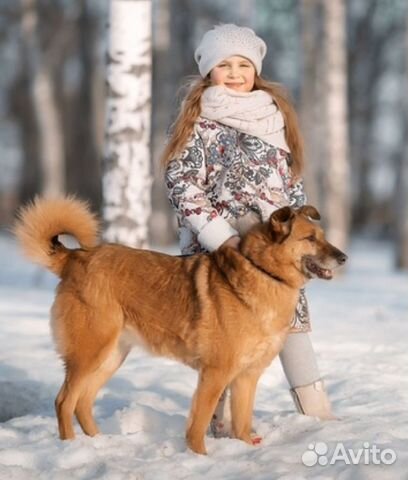 Солнечная Алиса в дар