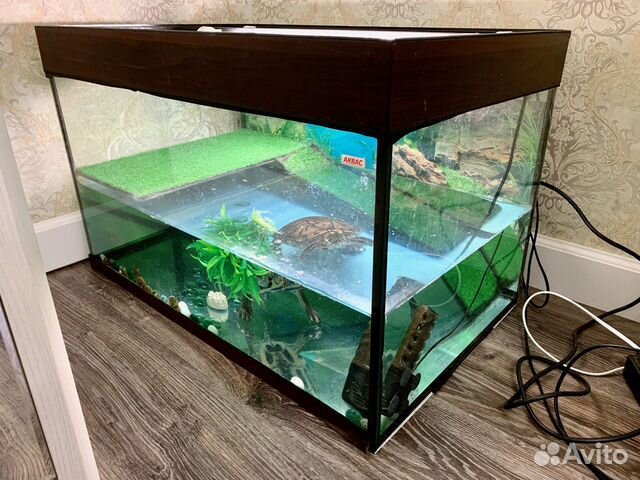 Красноухая черепаха с аквариумом (полный комплект