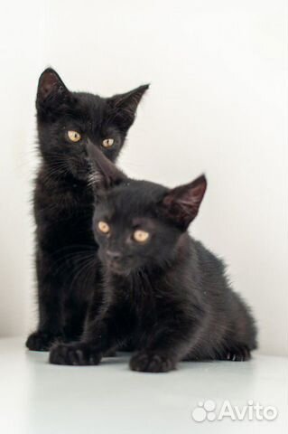 Маленькое счастье