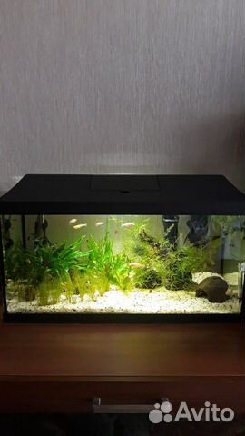 Аквариум Aquael 60л