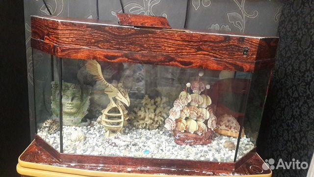 Аквариум