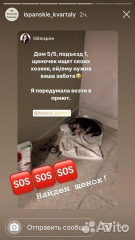 В добрые руки