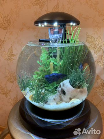 Аквариумный набор 6.8 л Tetra Cascade Globe