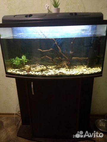 Аквариум 100л панорамный