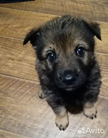 Малыш в добрые ручки