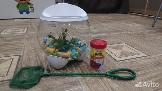 Б/У аквариум-шар для петушков