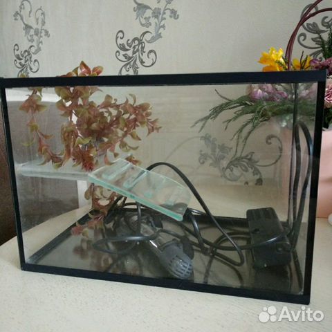 Черепашник