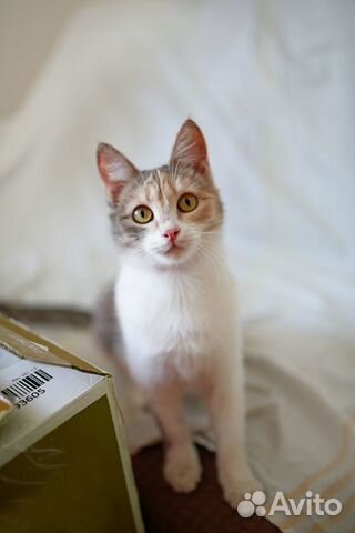 Девочка-подросток ищет добрых родителей