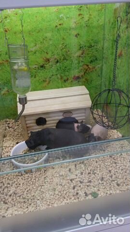 Вязка для скинни