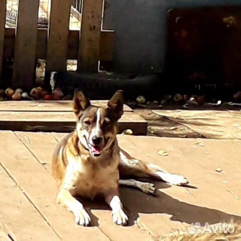 Девочка Соня