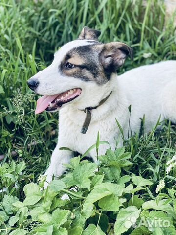 Хулиган Мартин ждёт свою семью