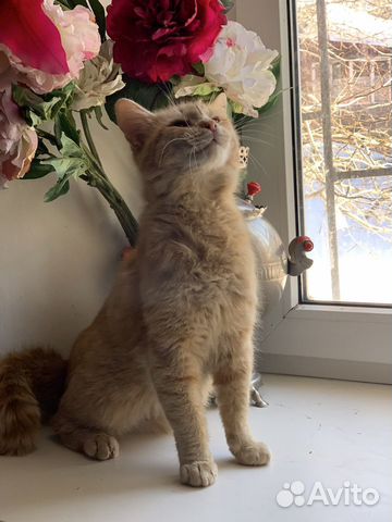 Мужчина хоть куда, в полном расцвете сил