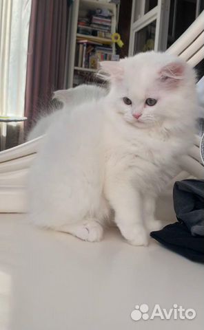 Мальчик красавчик