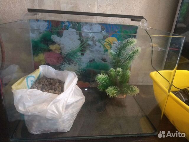 Аквариум