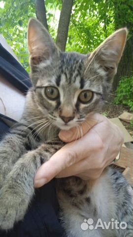 Девочка Лиза