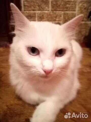 Лукерья была выброшена вместе с квартирантами