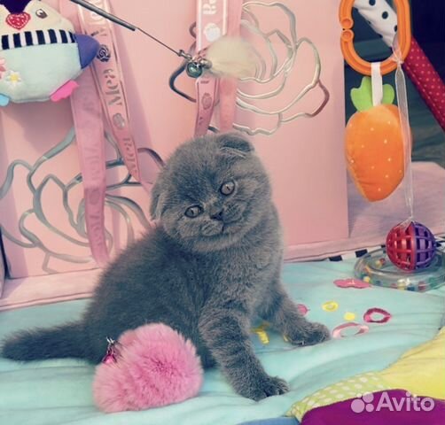 Вся из сказки