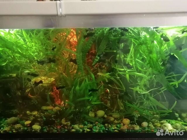 Украшения для аквариума