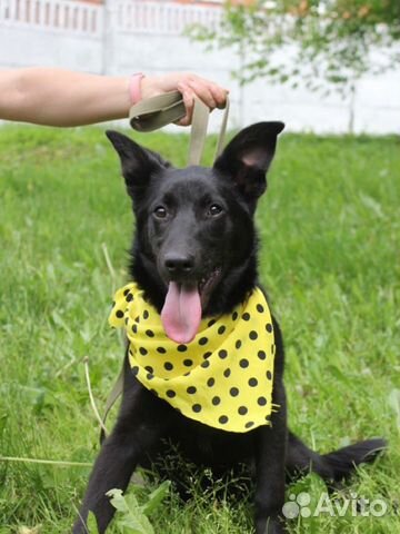 Таких чернышей, как Берта, не ценят