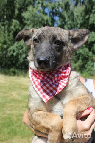 Кики в опасности. Спасите кроху