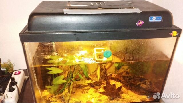 Аквариум