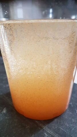 Циста Артемий (яйцо Артемии)