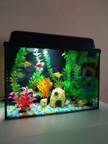 Аквариум 20 литров