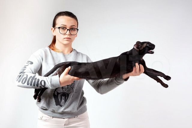 Ориентал на вязку